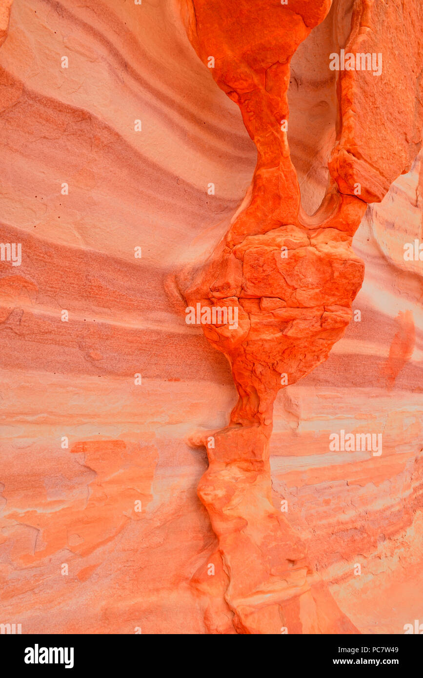 Weathered red rock formations along the White Dome trail, Valley of ...