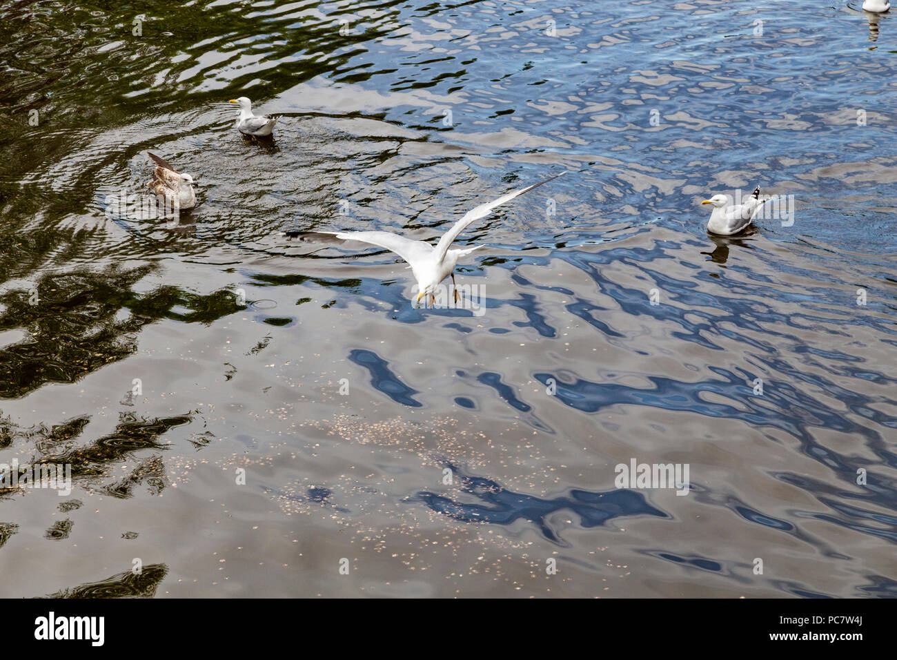 Birds eye view of amsterdam amsterdam hi-res stock photography and ...