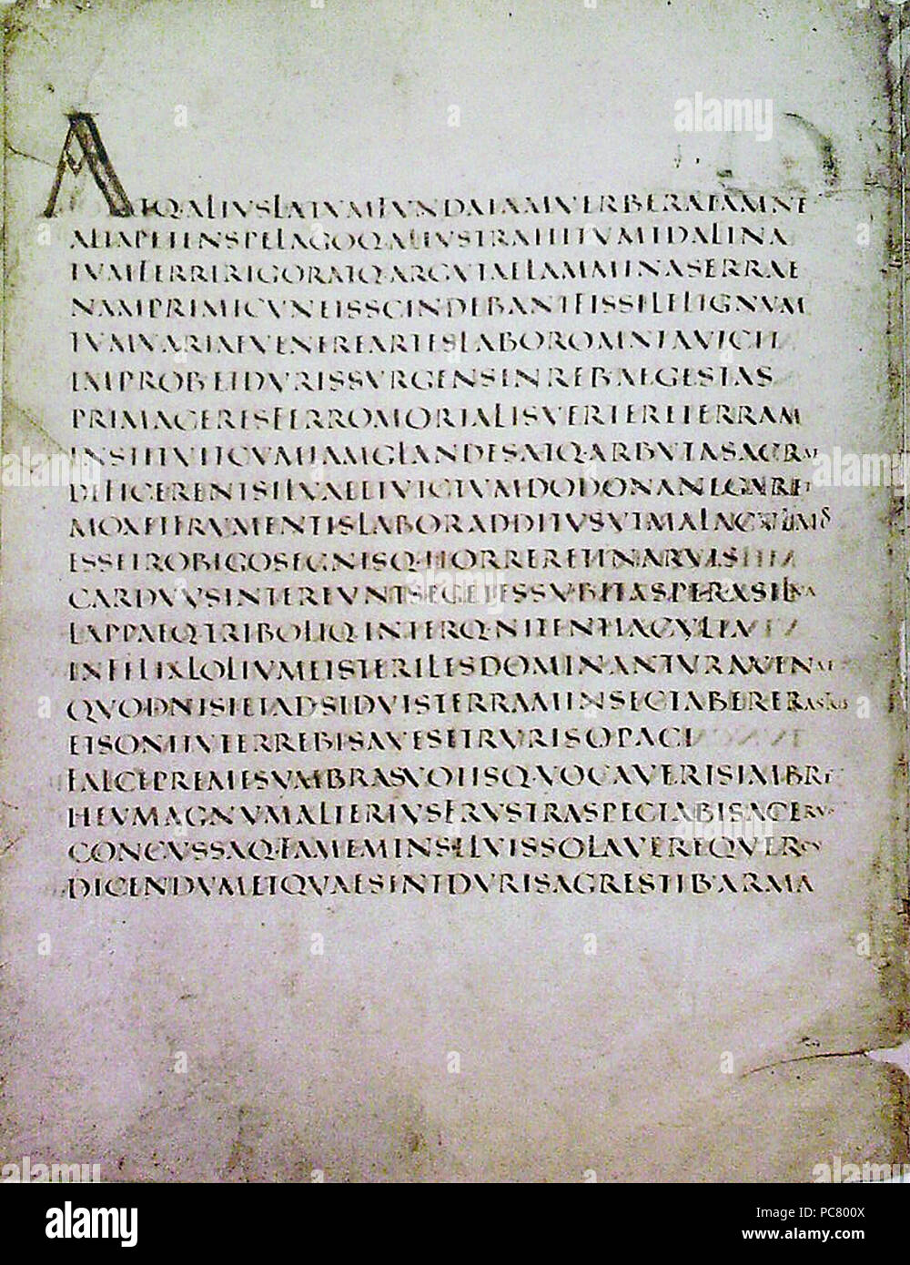 Vergilius augusteus georgica 141 hi-res stock photography and images ...