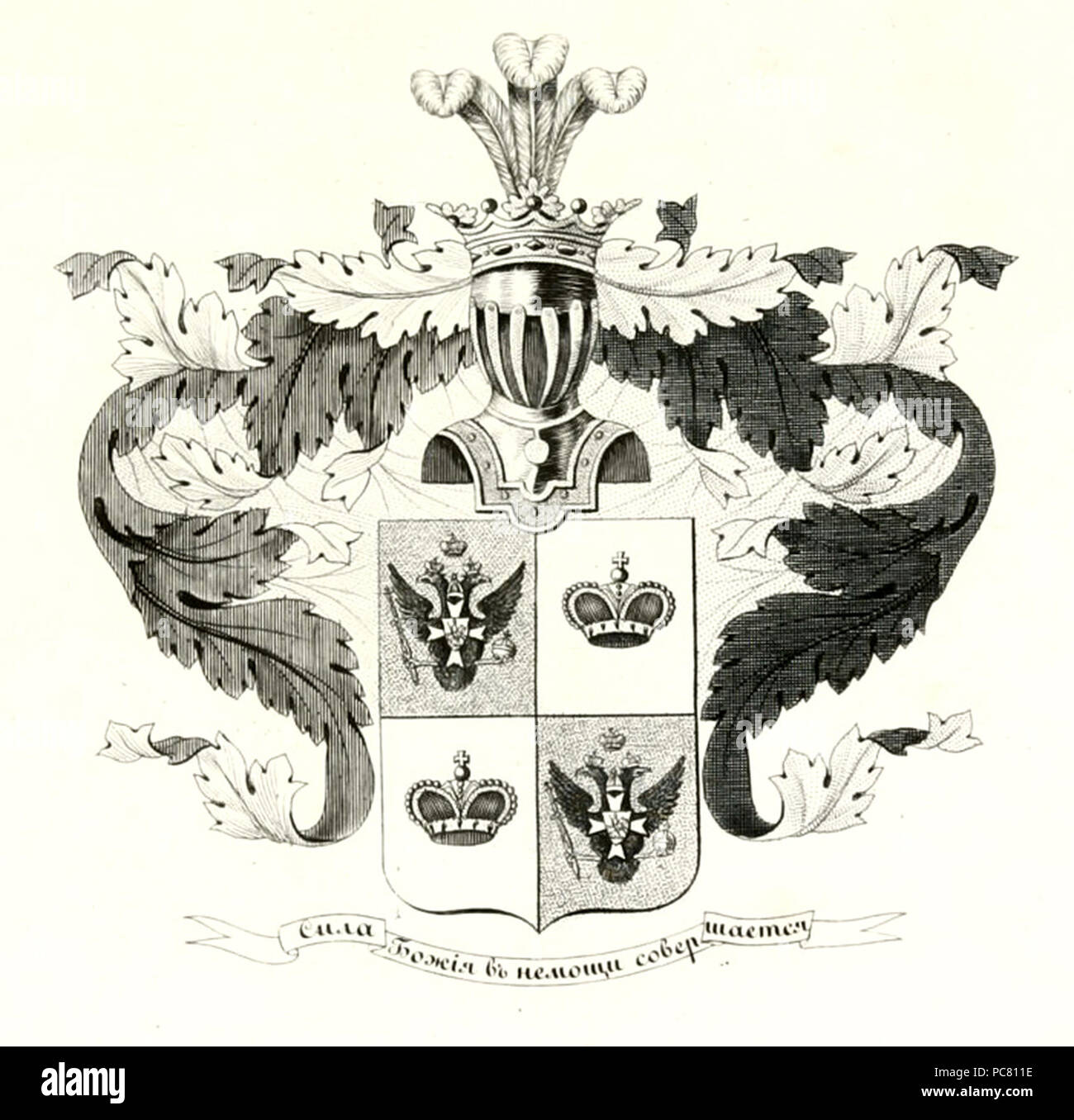 Musina hi-res stock photography and images - Alamy