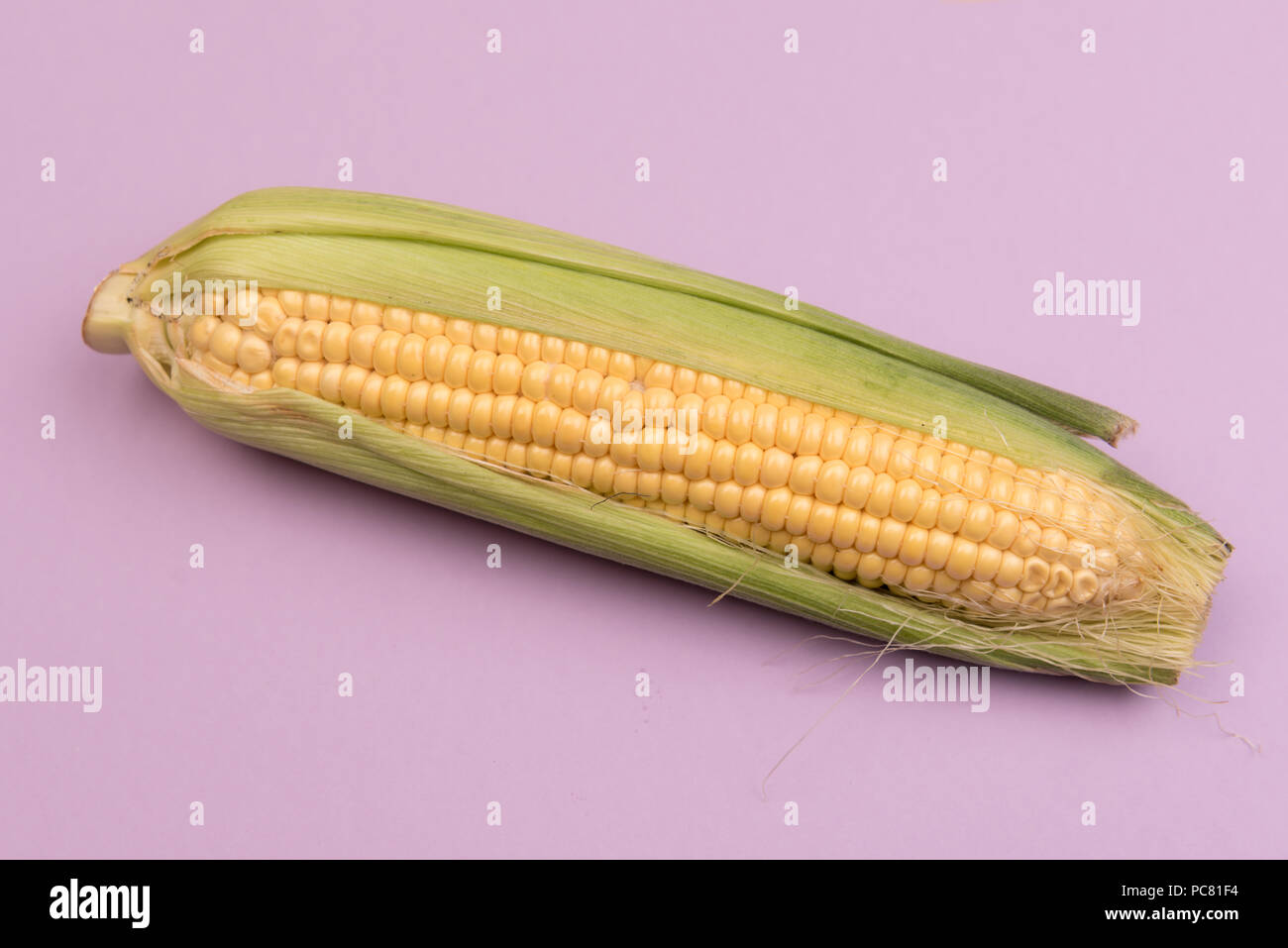 corn on a colored background Stock Photo - Alamy