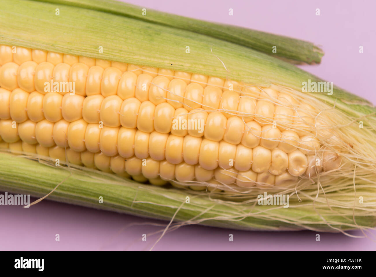 corn on a colored background Stock Photo - Alamy