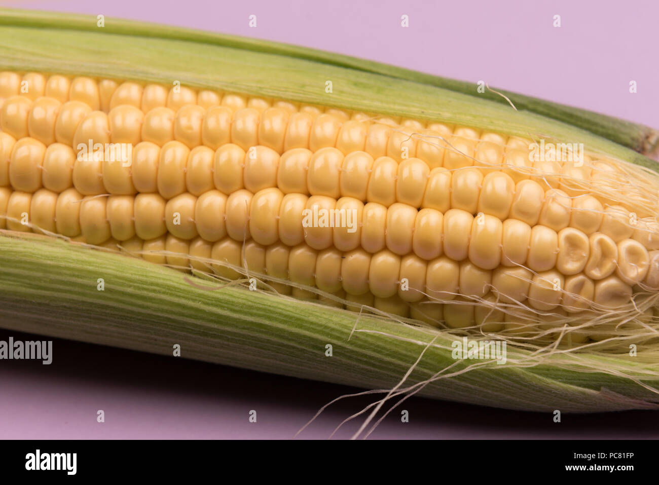 corn on a colored background Stock Photo - Alamy