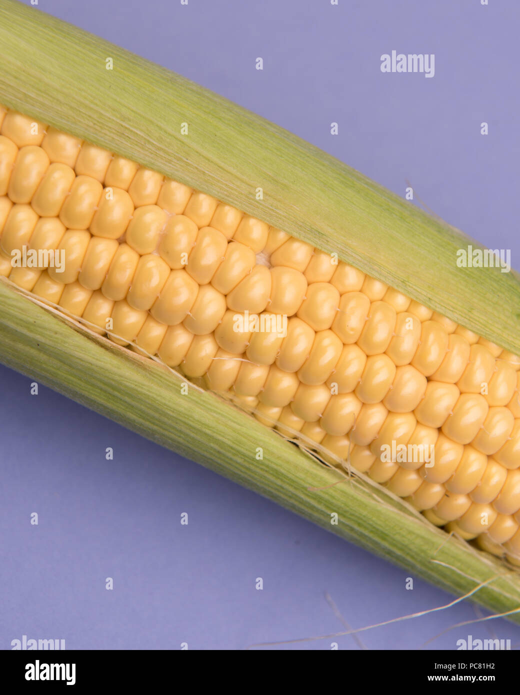 corn on a colored background Stock Photo - Alamy