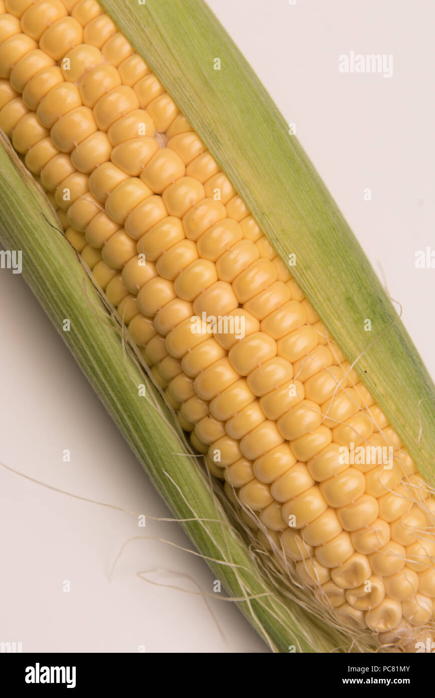 corn on a colored background Stock Photo - Alamy