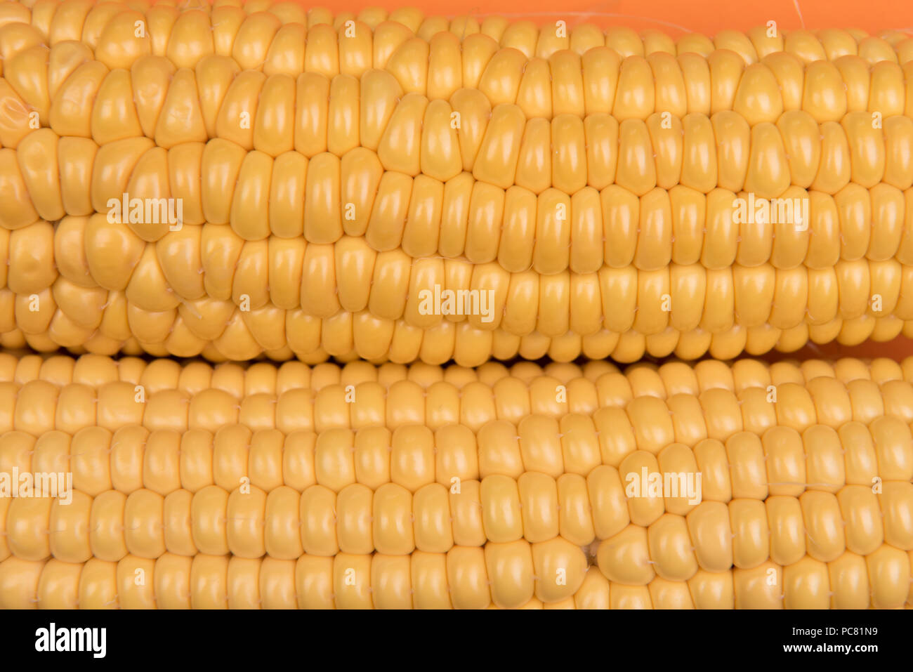 corn on a colored background Stock Photo - Alamy