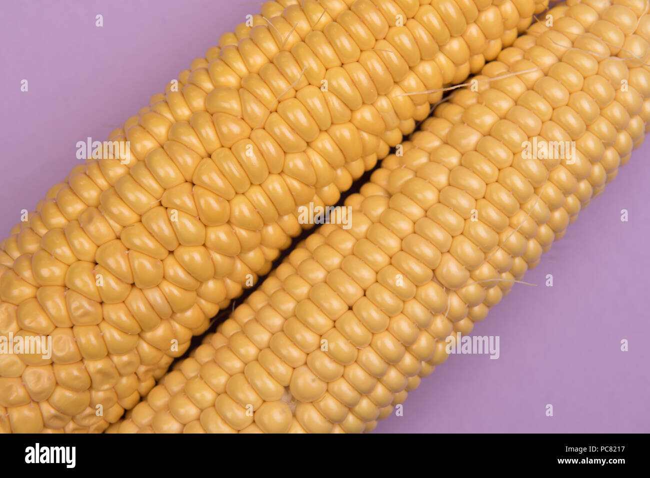 corn on a colored background Stock Photo - Alamy