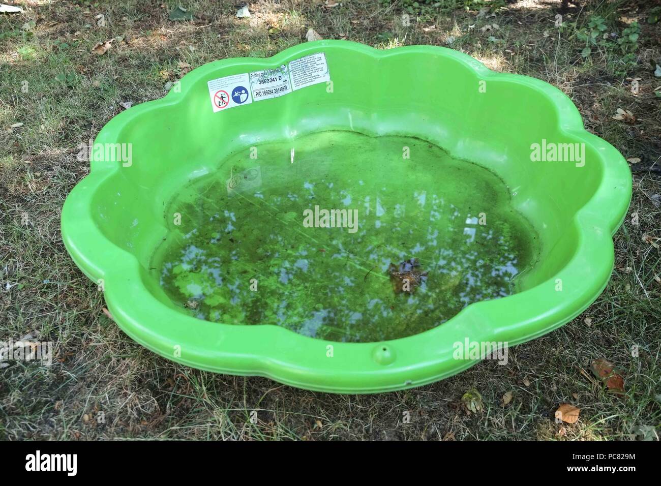 Paddling pool in garden Stock Photo - Alamy