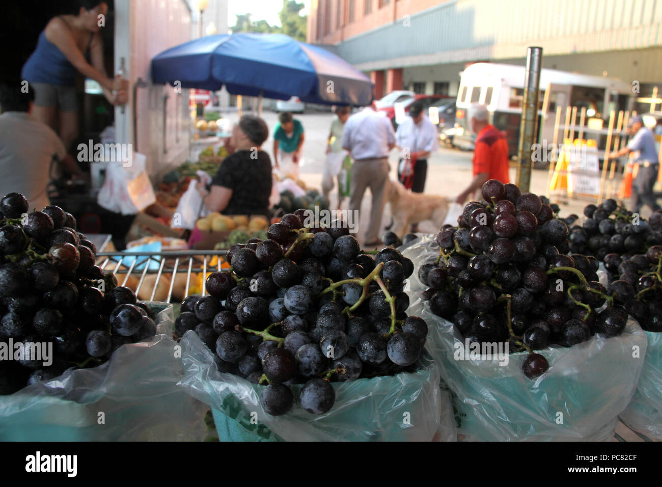 Bunches of grapes for sale at the market Stock Photo - Alamy