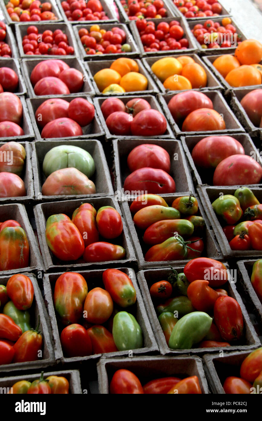 Tomatoes for sale at the market Stock Photo - Alamy