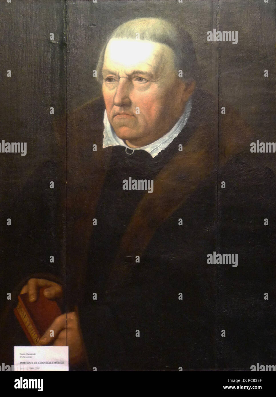 Musius hi-res stock photography and images - Alamy