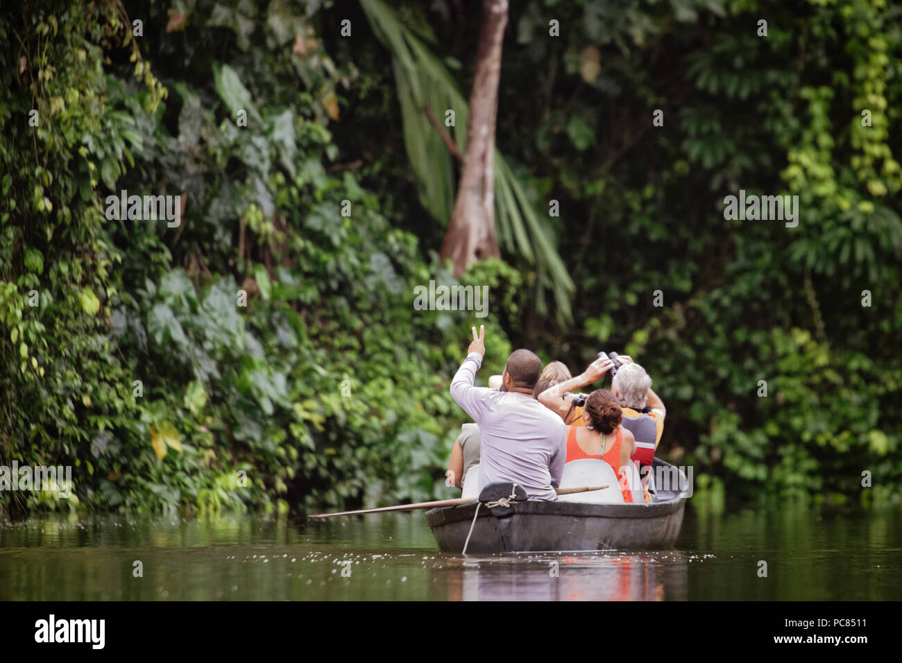 The tour guide shows tourists in a canoe the beauty of the nature at a ...
