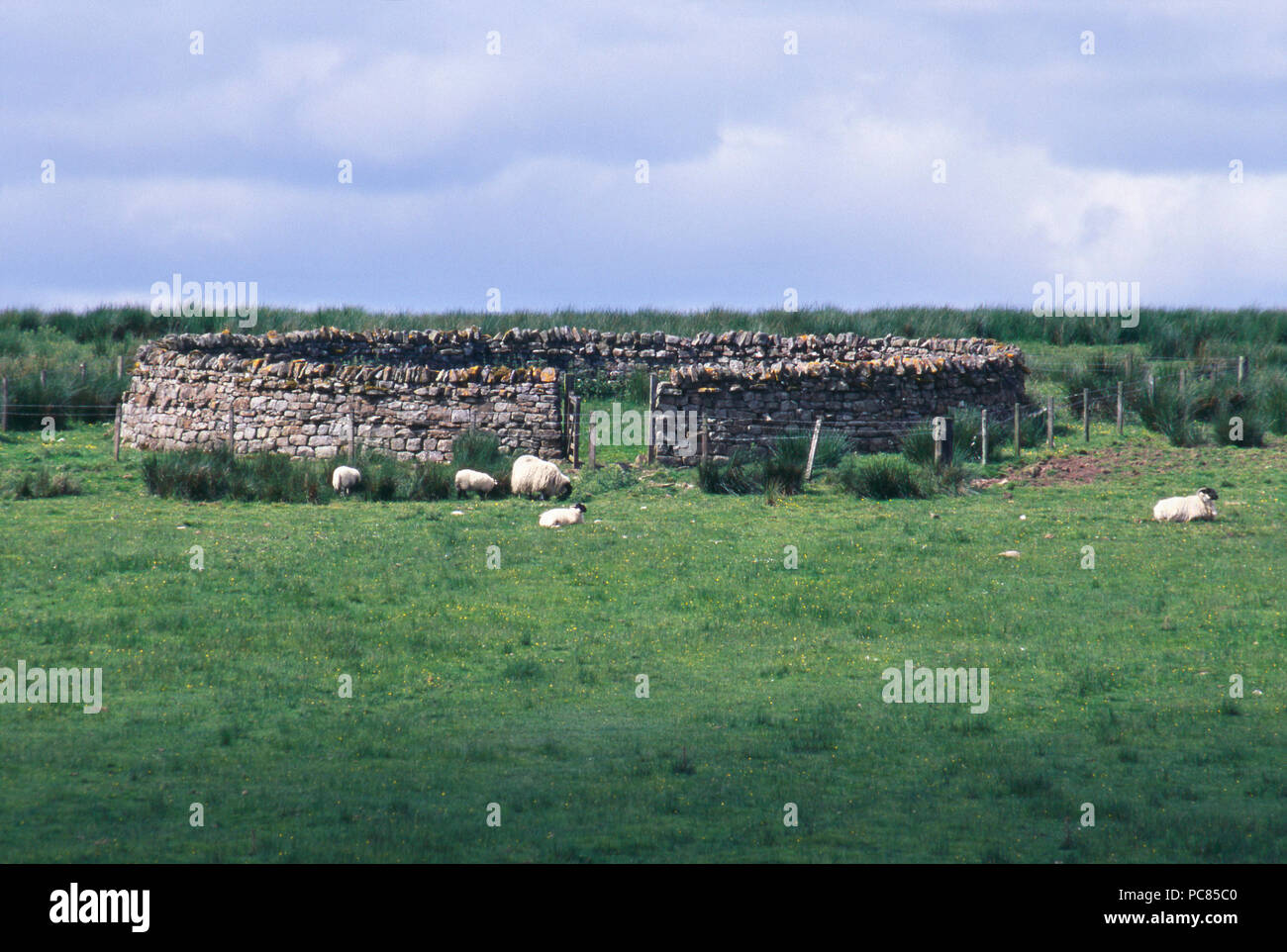 Sheepcote hi-res stock photography and images - Alamy