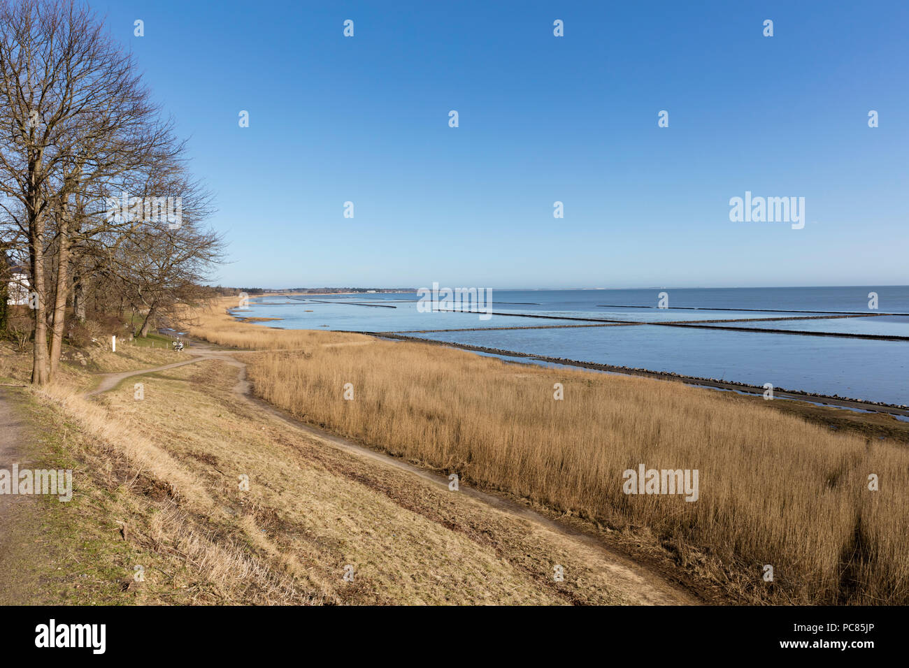 National park wadden sea, Sylt, North Frisian Island, North Frisia ...