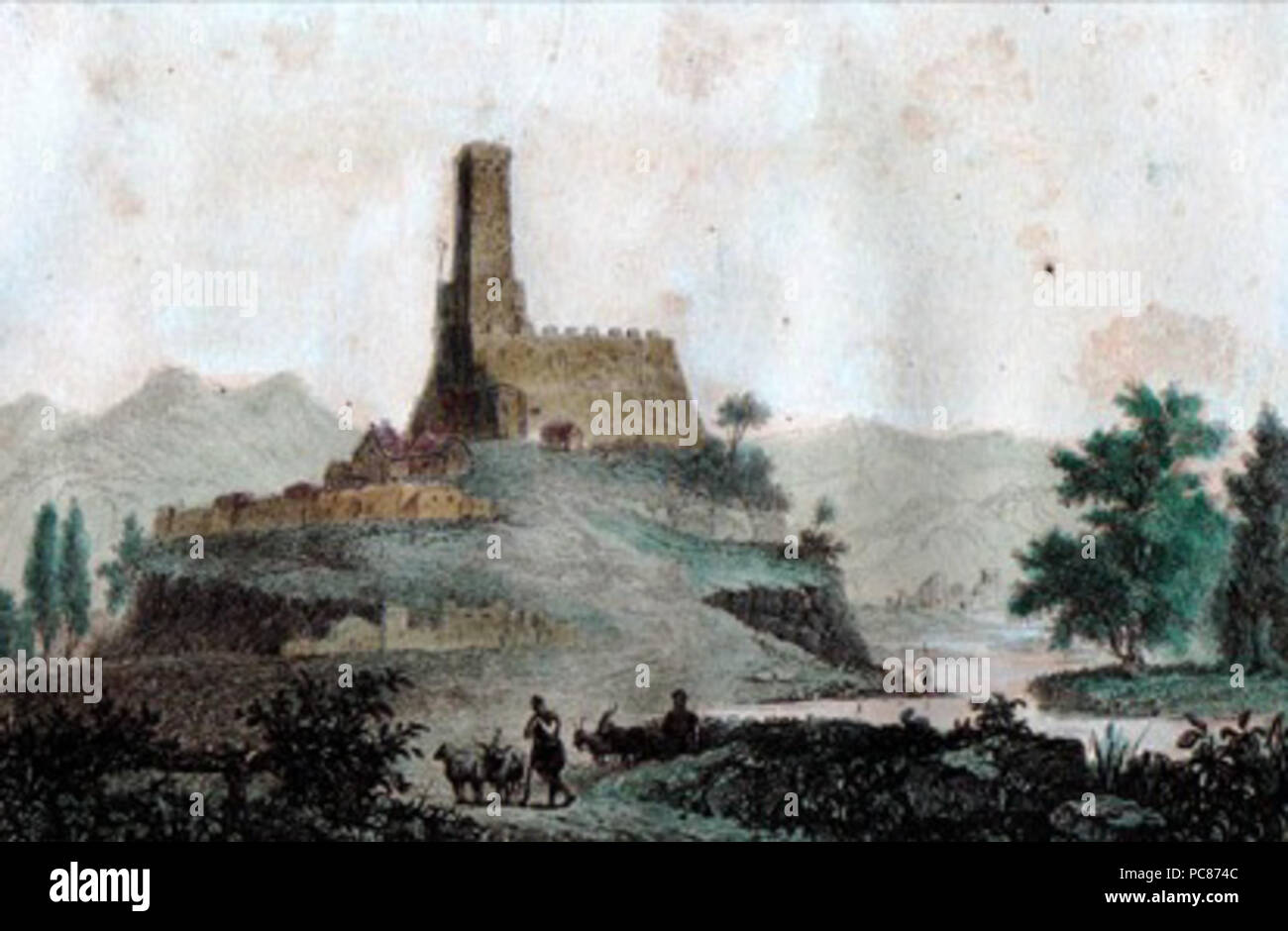 Surami hi-res stock photography and images - Alamy