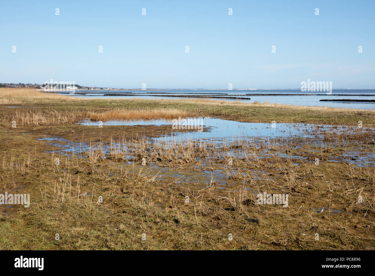 National park wadden sea, Sylt, North Frisian Island, North Frisia ...
