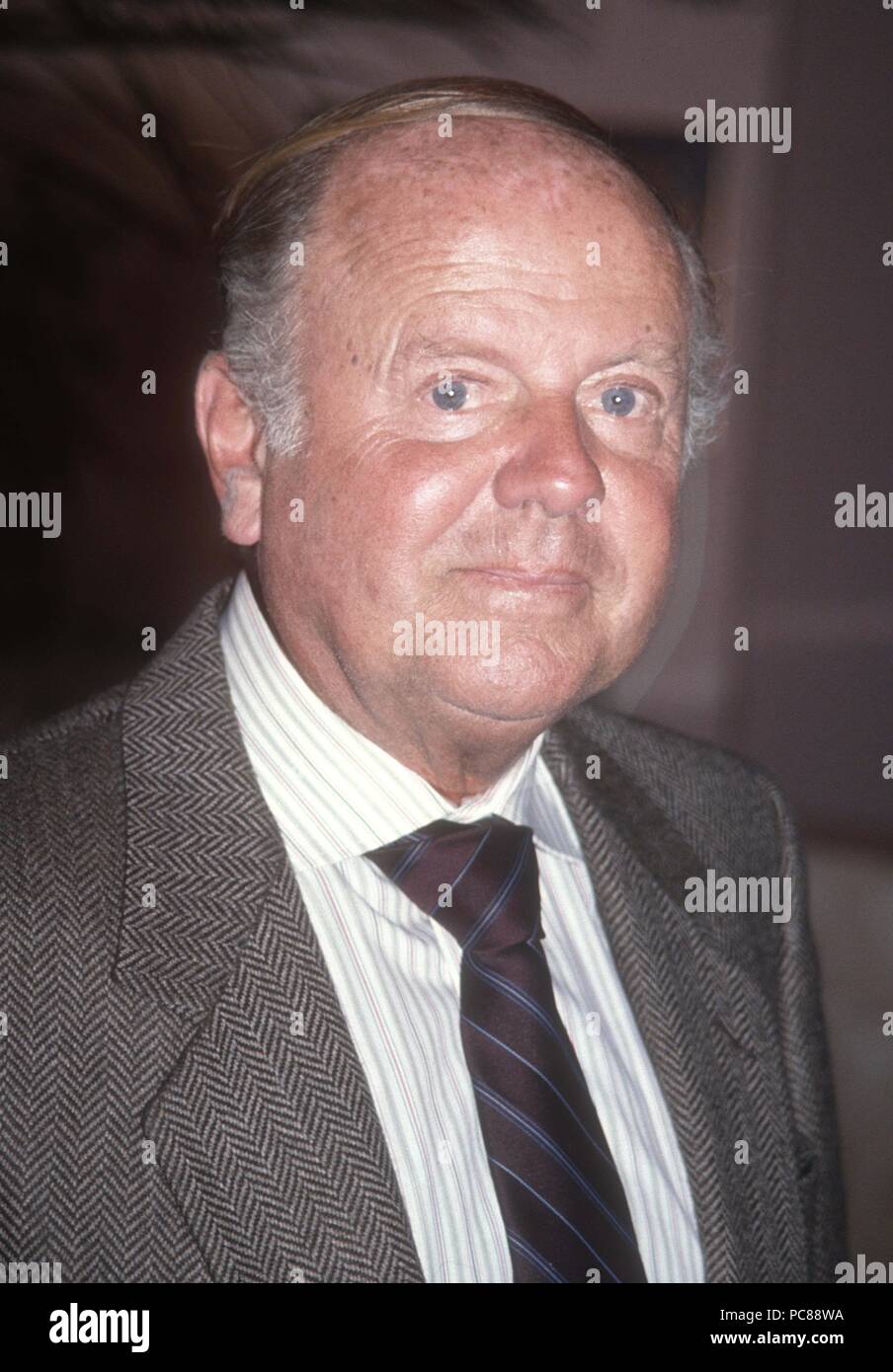 Dick Van Patten 1984 Photo By John Barrett/PHOTOlink.net /MediaPunch ...