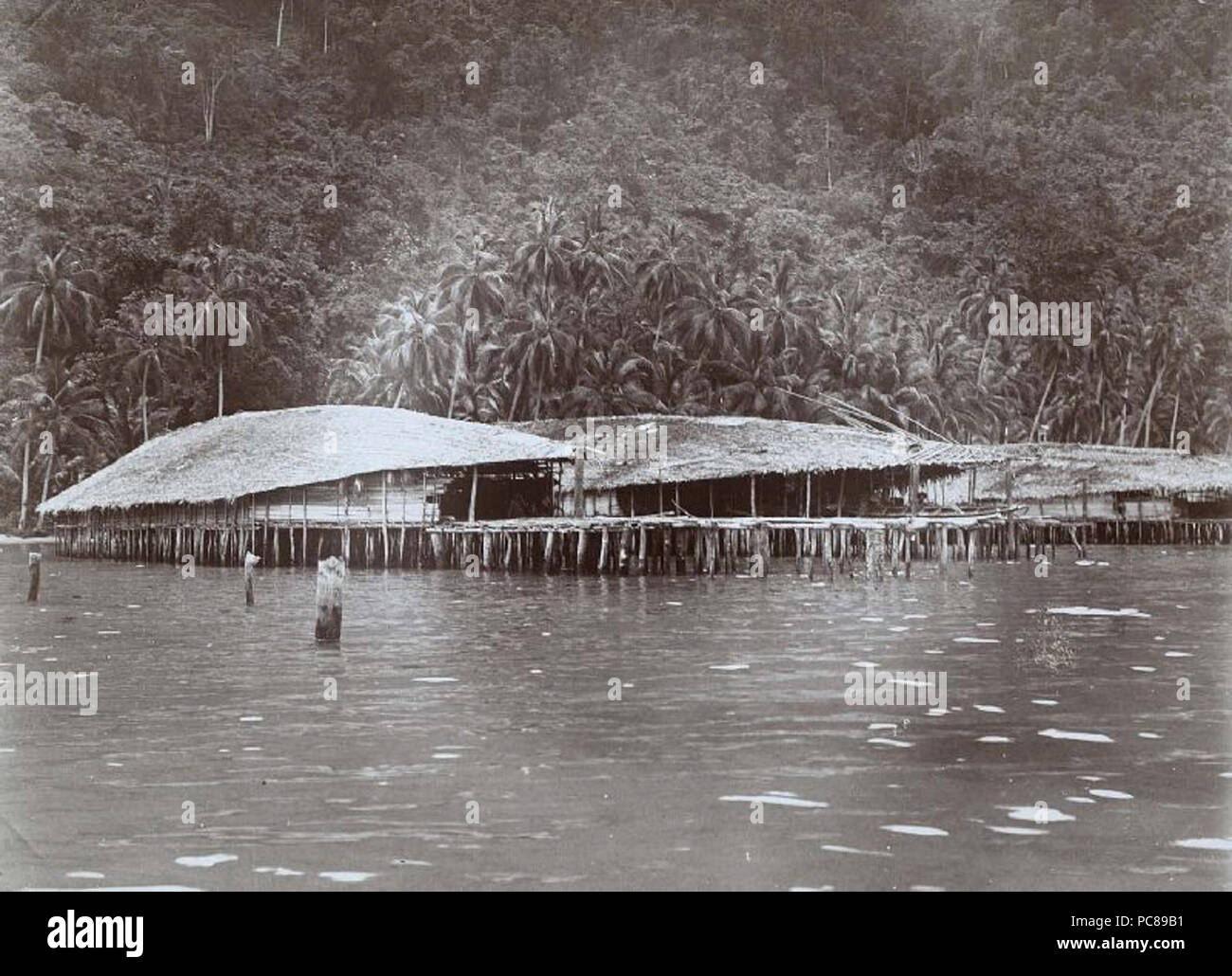 66 Pile houses with turtle-shaped roofs - Collectie stichting Nationaal ...