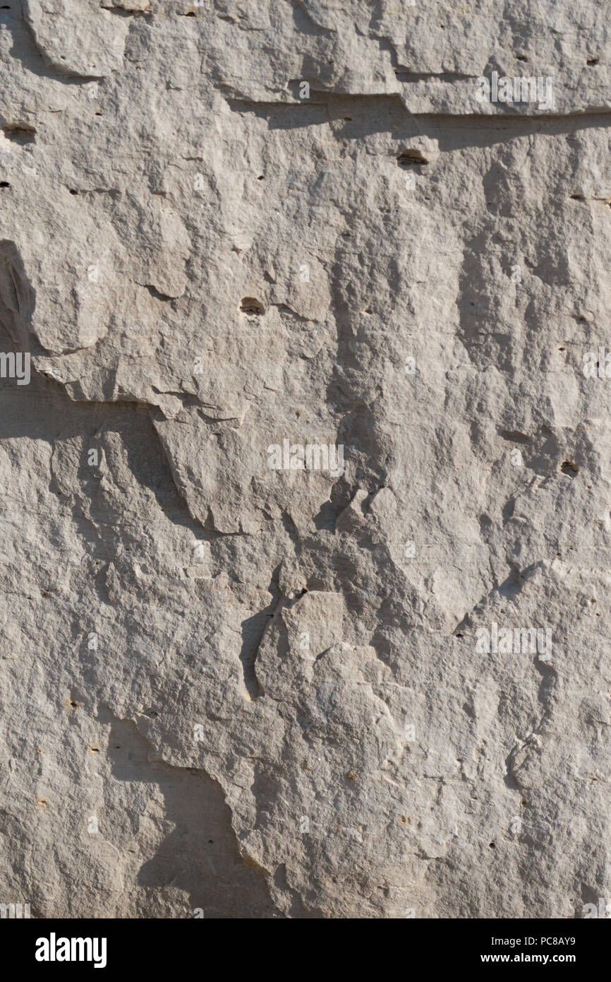 Closeup limestone rock face showing weathered strata for a geological ...