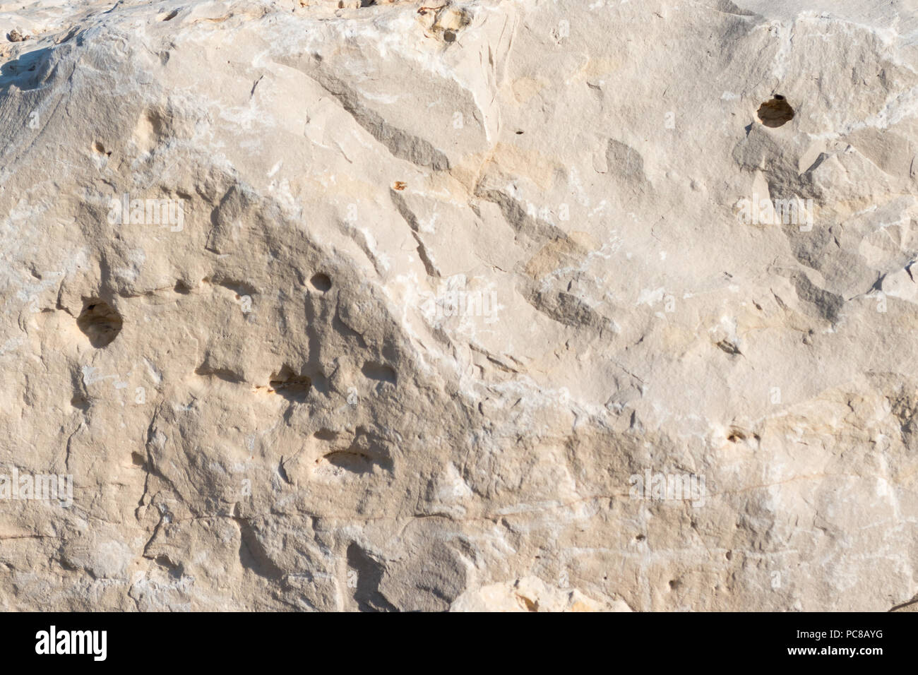 Closeup limestone rock face showing weathered strata for a geological ...