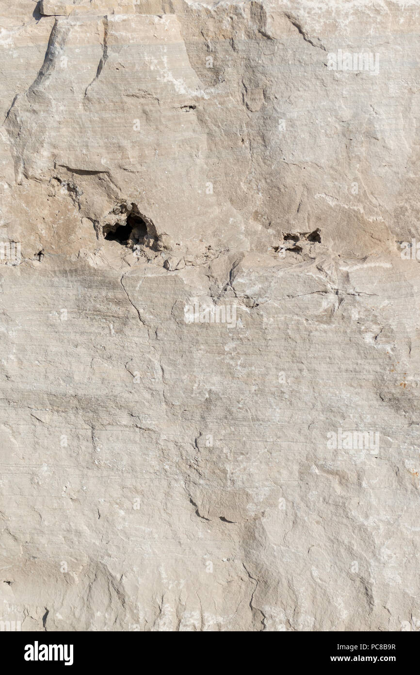 Closeup limestone rock face showing weathered strata for a geological ...