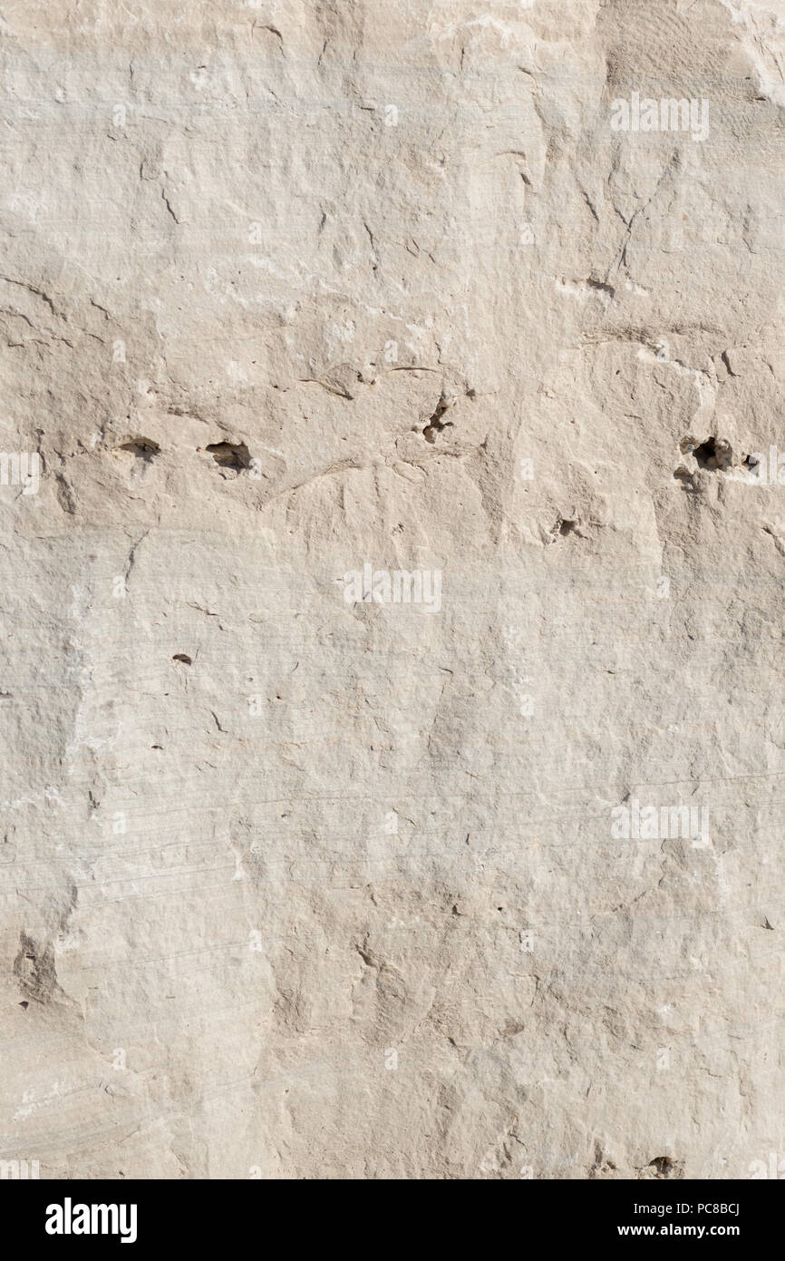 Closeup limestone rock face showing weathered strata for a geological ...