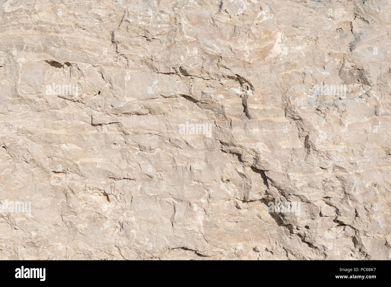 Closeup limestone rock face showing weathered strata for a geological ...