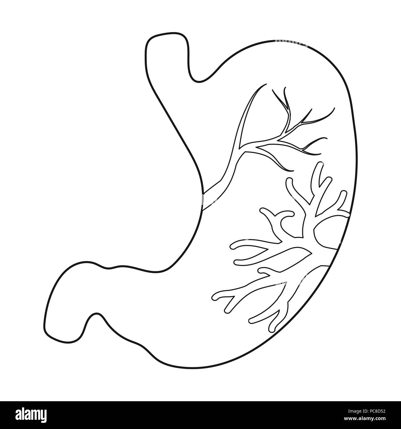 Stomach icon in outline style isolated on white background. Organs ...