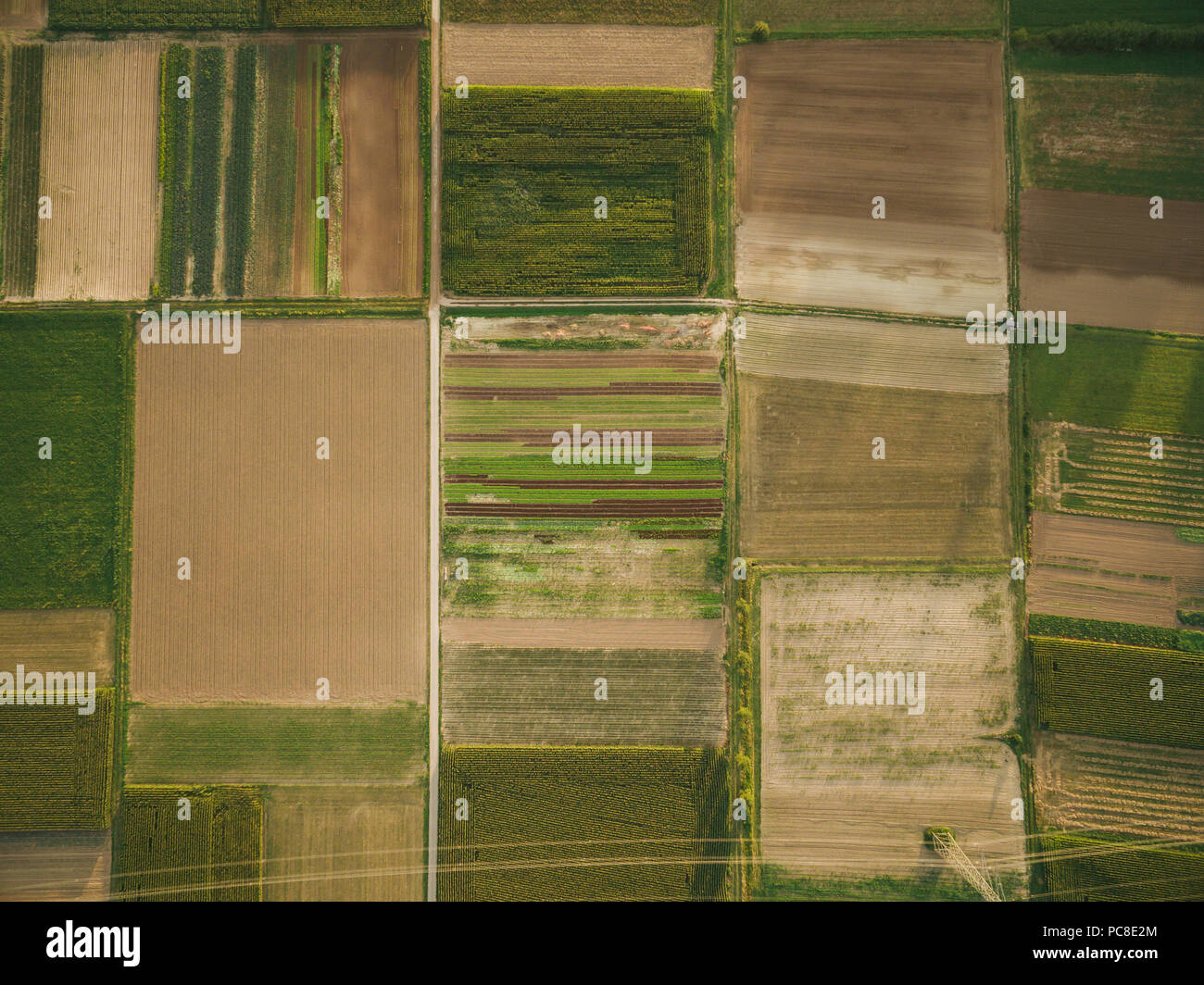 aerial view of green agricultural fields with power line, europe Stock ...
