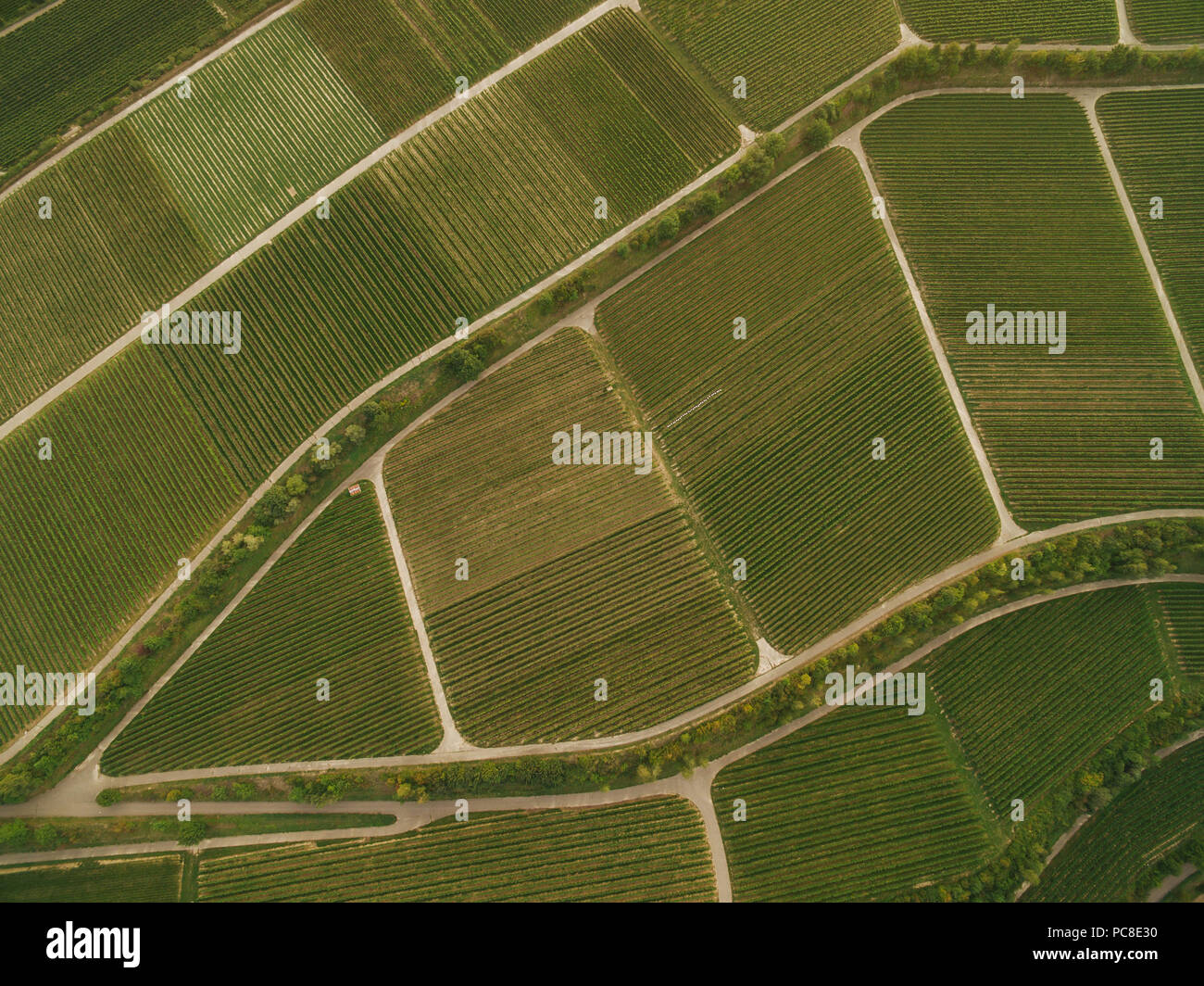 bird eye view of green agricultural fields, europe Stock Photo - Alamy