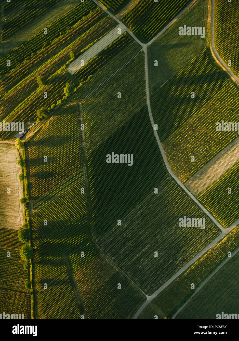 aerial view of beautiful agro fields in summer, europe Stock Photo - Alamy