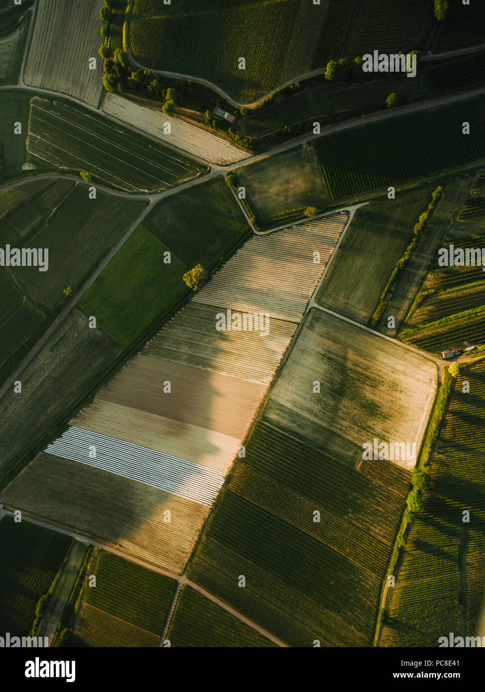aerial view of agro fields in summer, europe Stock Photo - Alamy
