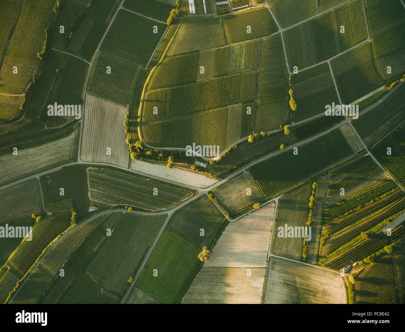 aerial view of beautiful agro fields in evening, europe Stock Photo - Alamy