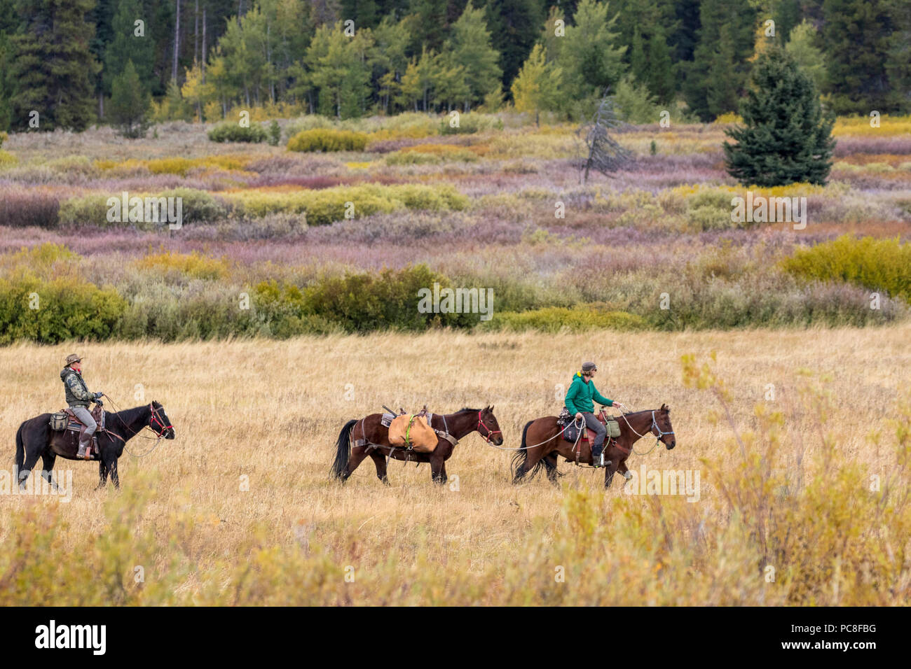Cowboys hi-res stock photography and images - Alamy
