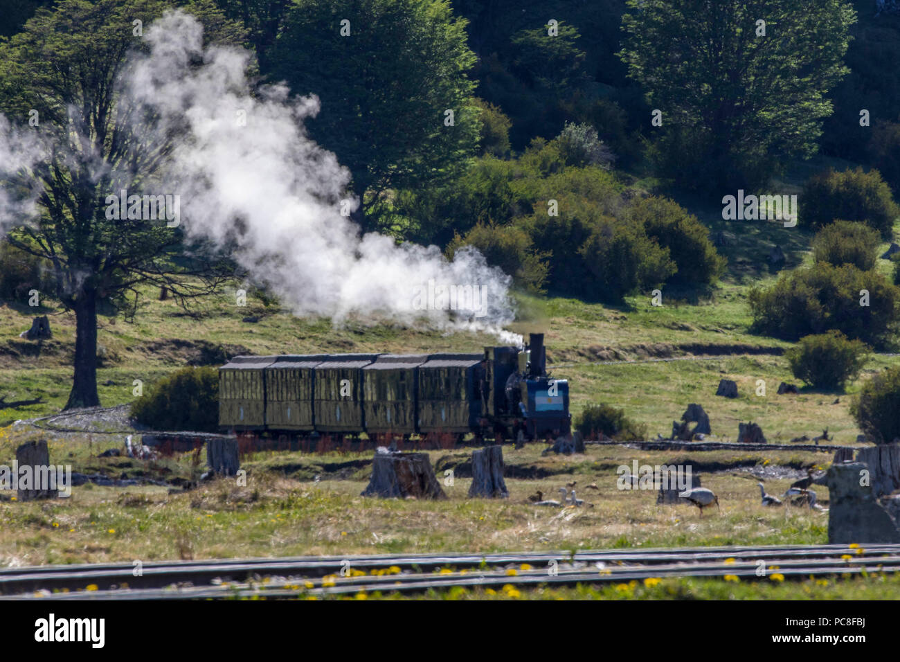 Prison train hi-res stock photography and images - Alamy