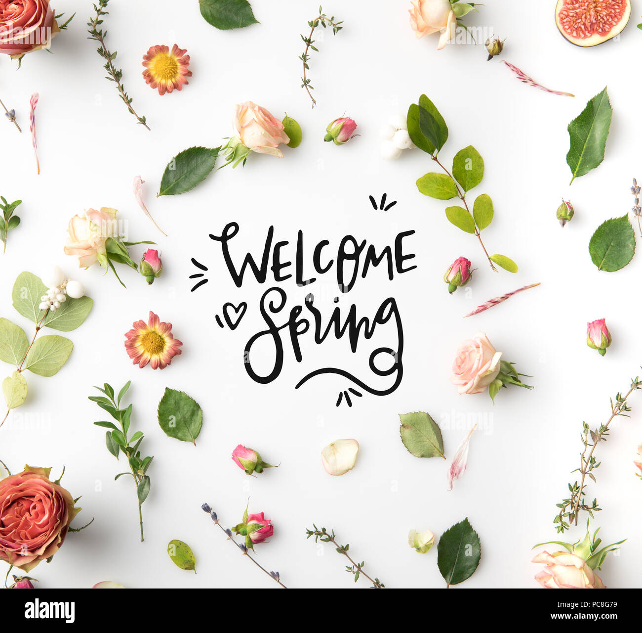 pink flowers, petals and figs aroung WELCOME SPRING lettering isolated ...