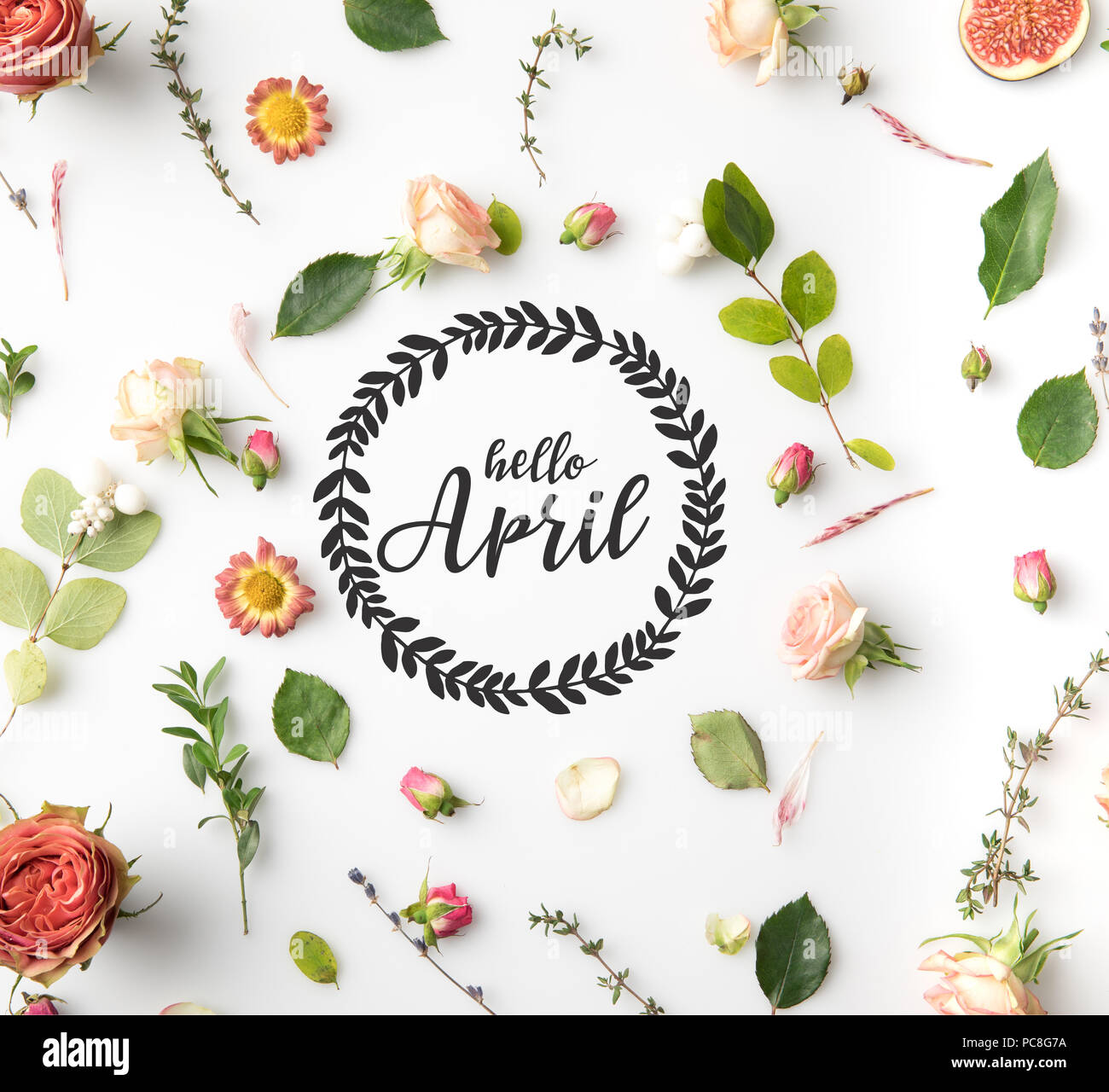 HELLO APRIL lettering surrounded with pink flowers, petals and figs ...