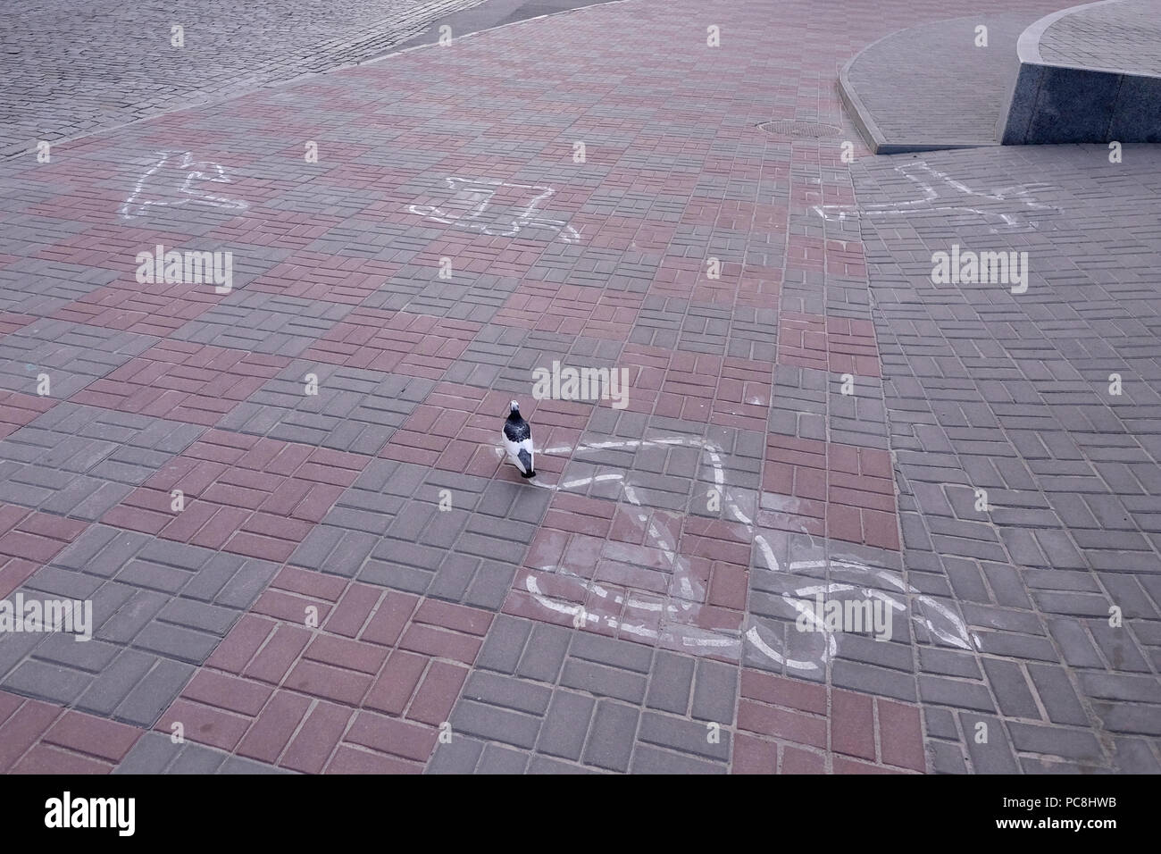 Body outline hi-res stock photography and images - Alamy