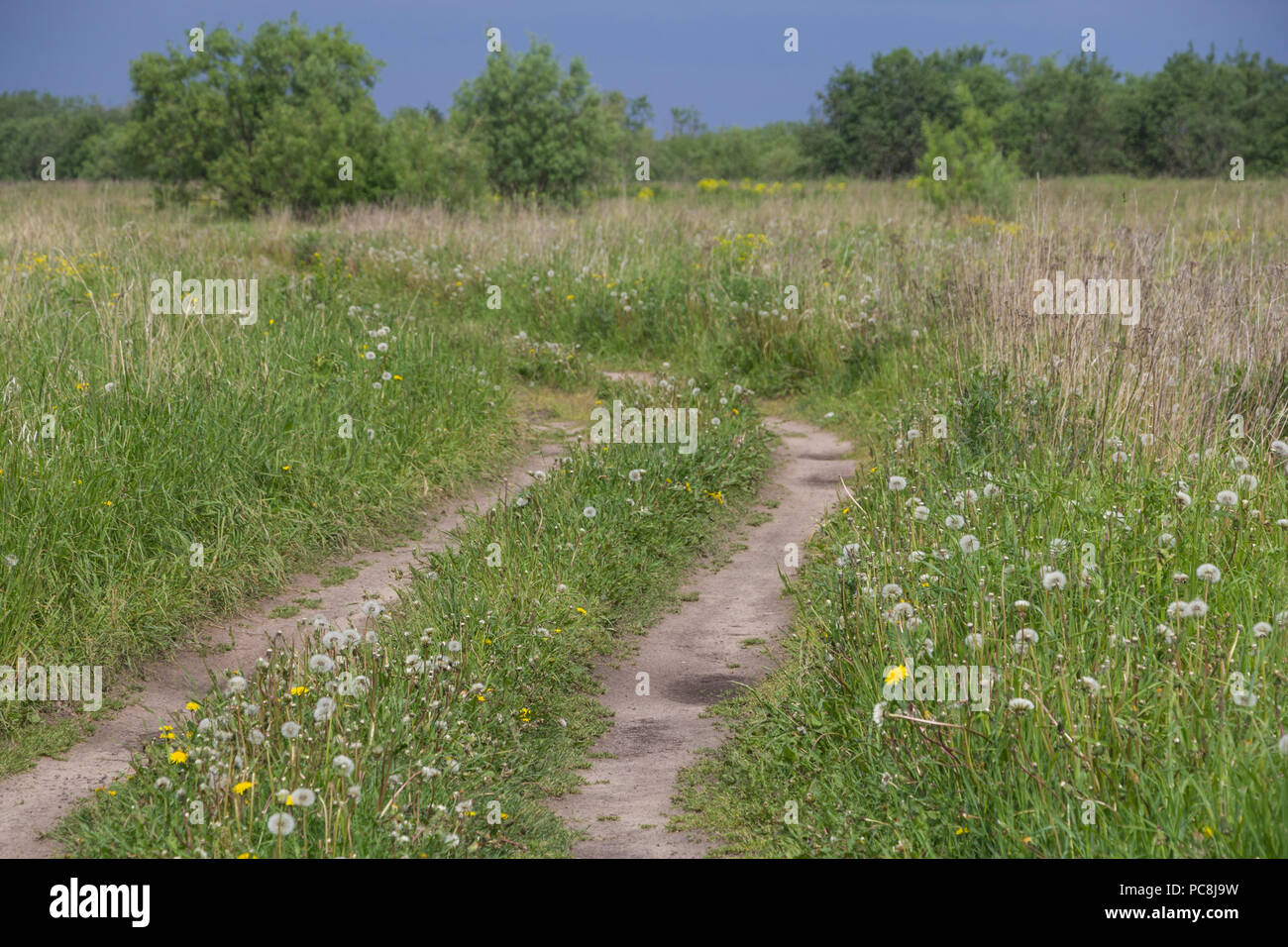 Dirt road tall grass hi-res stock photography and images - Alamy