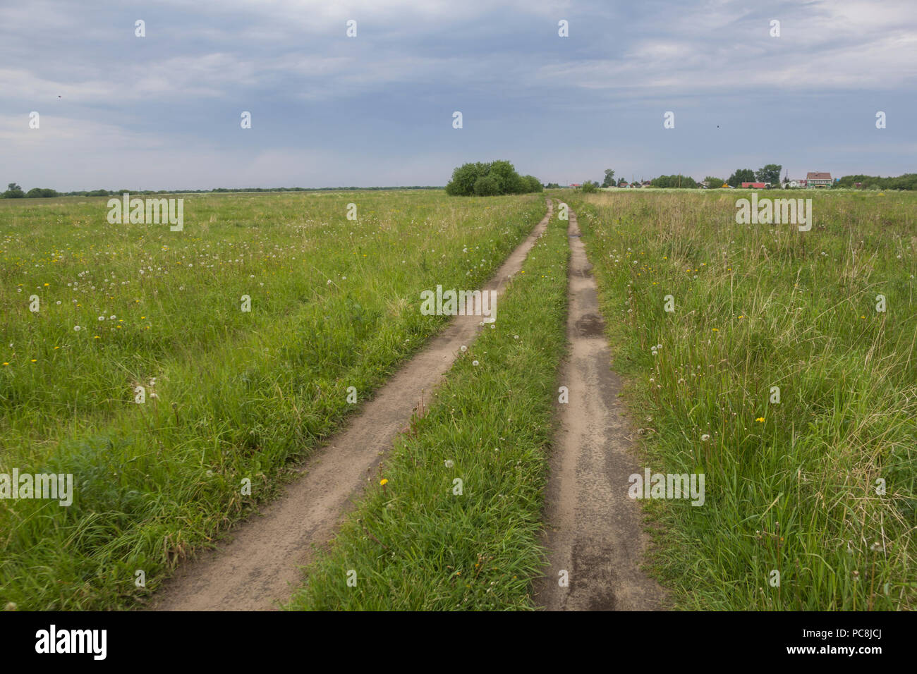 Dirt road tall grass hi-res stock photography and images - Alamy