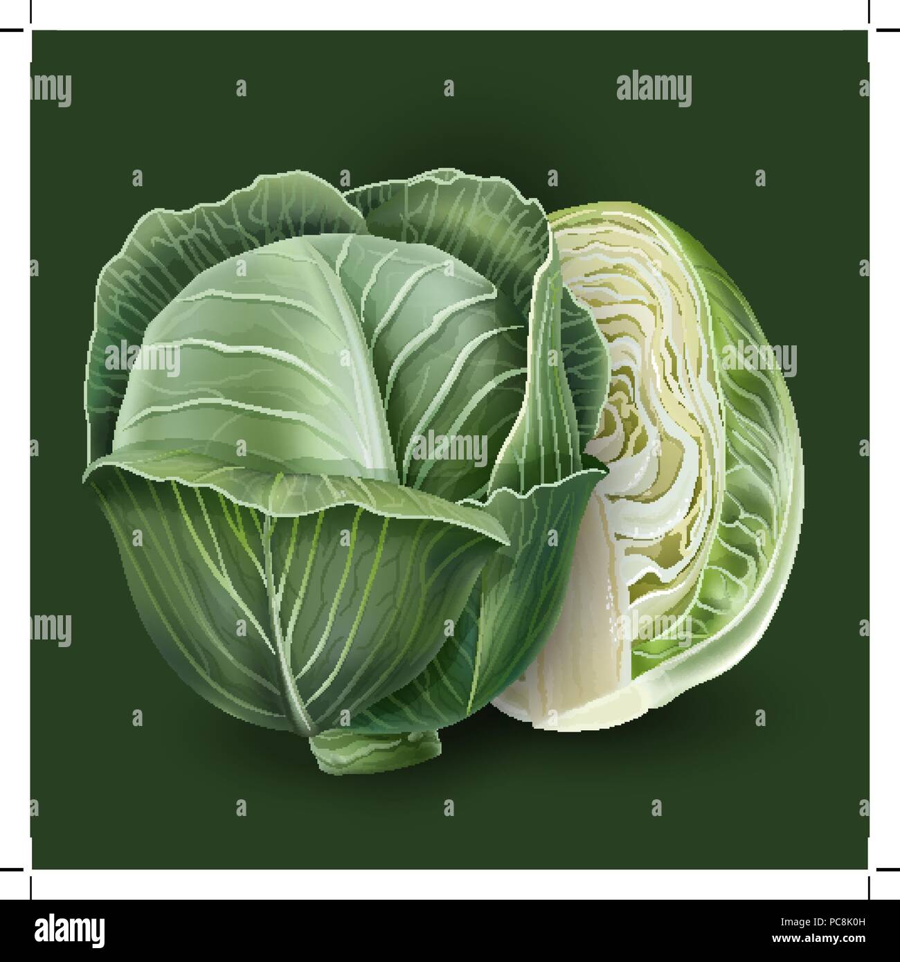Cabbage label Stock Vector Images - Alamy