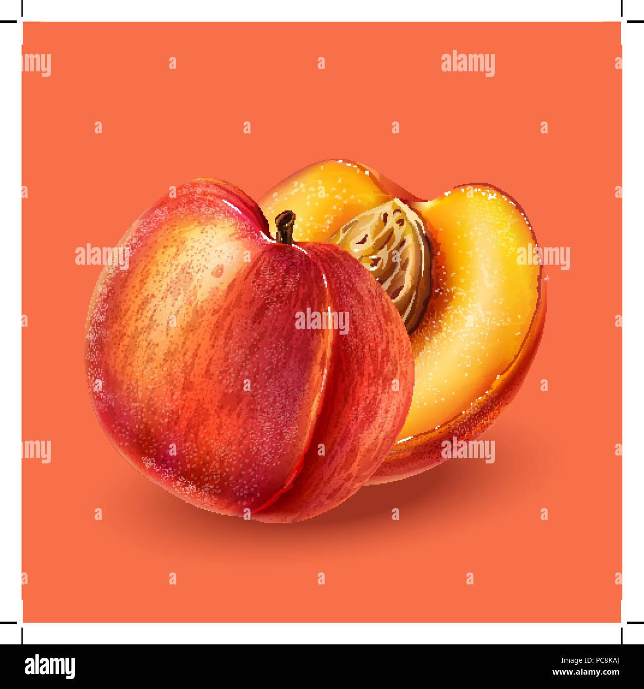 Peach clipart Stock Vector Images - Alamy