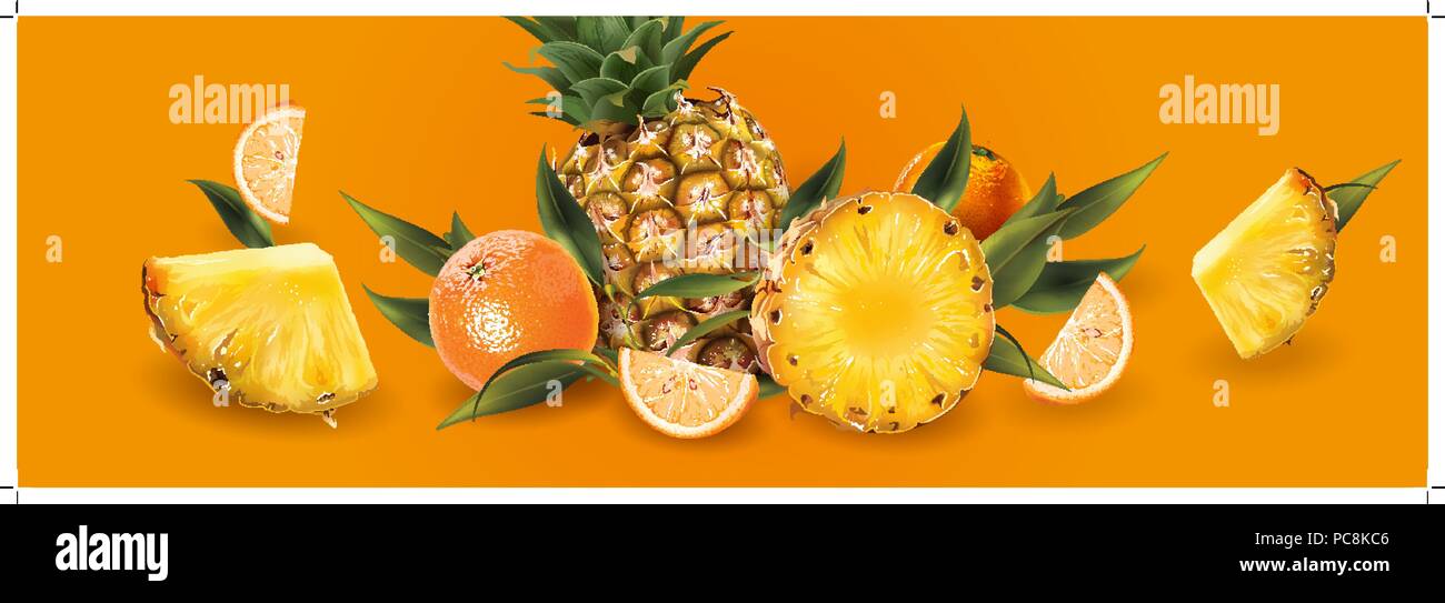 Pineapple and oranges on a orange background Stock Vector Image & Art ...