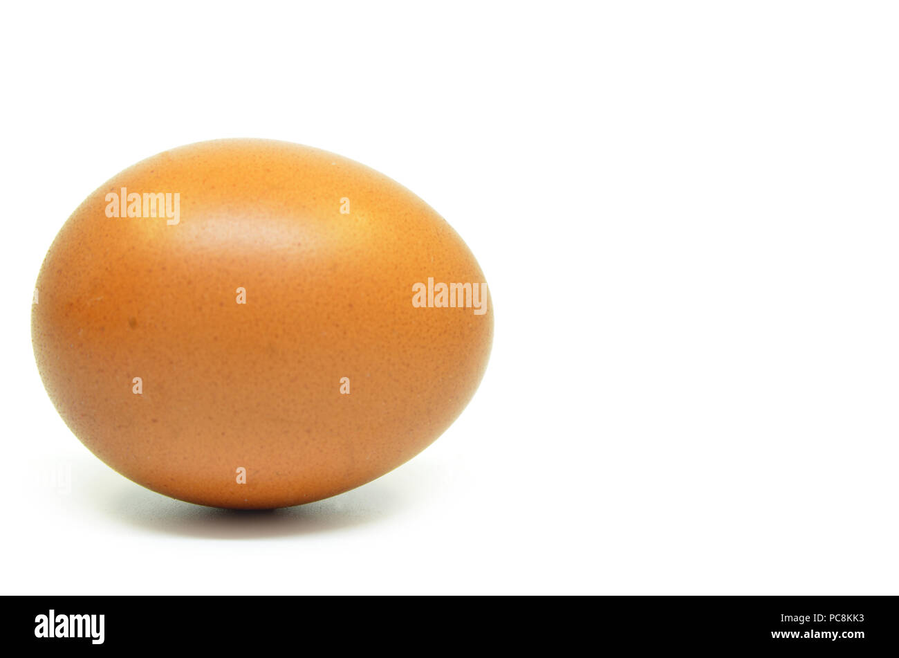 Single chicken egg isolated on white background Stock Photo - Alamy