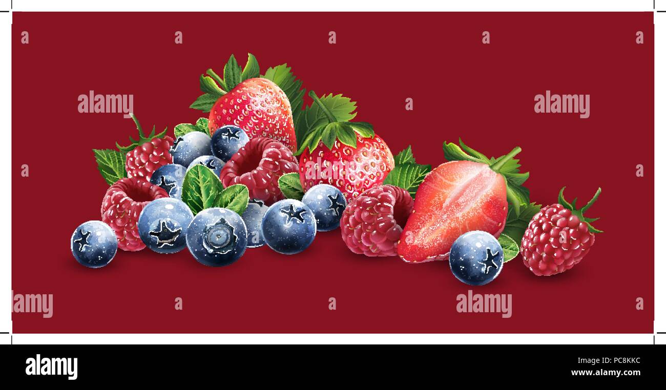 Raspberries strawberries Stock Vector Images - Alamy