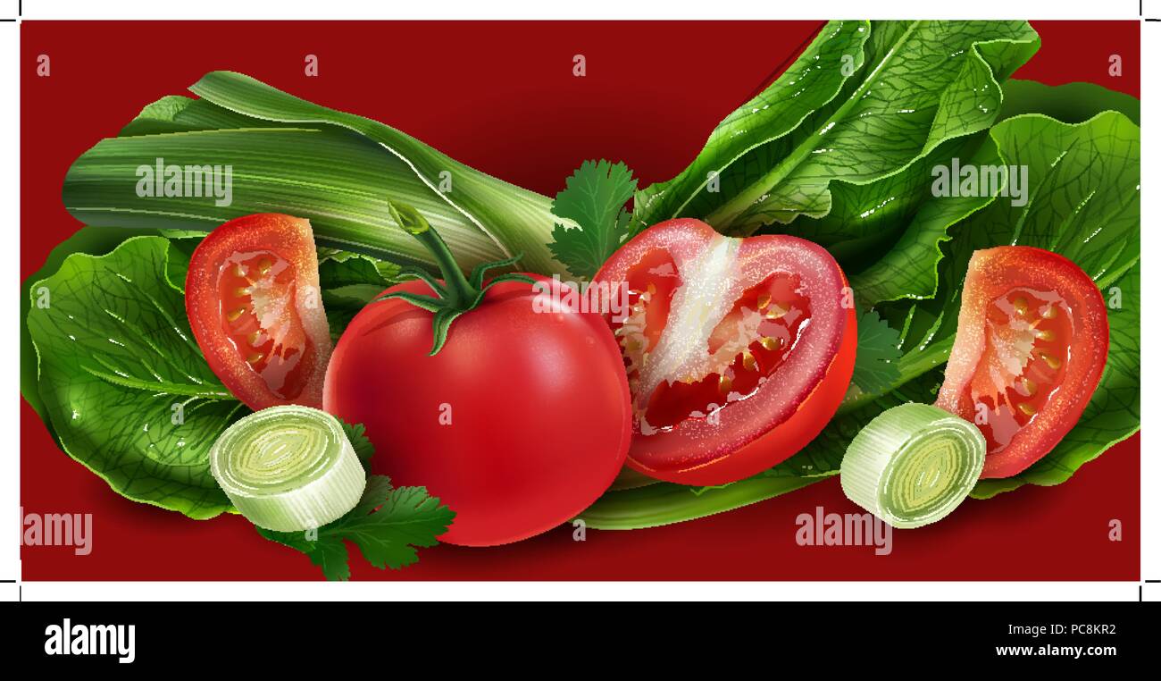 Kitchen leaf lettuce Stock Vector Images - Alamy
