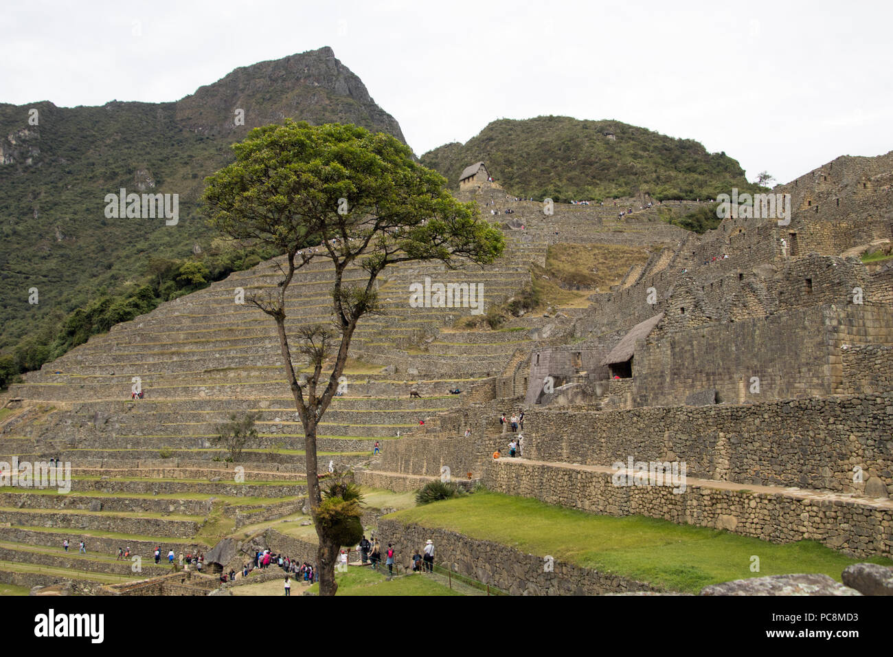 Ancient Inca Ruins at Machu Picchu Stock Photo - Alamy