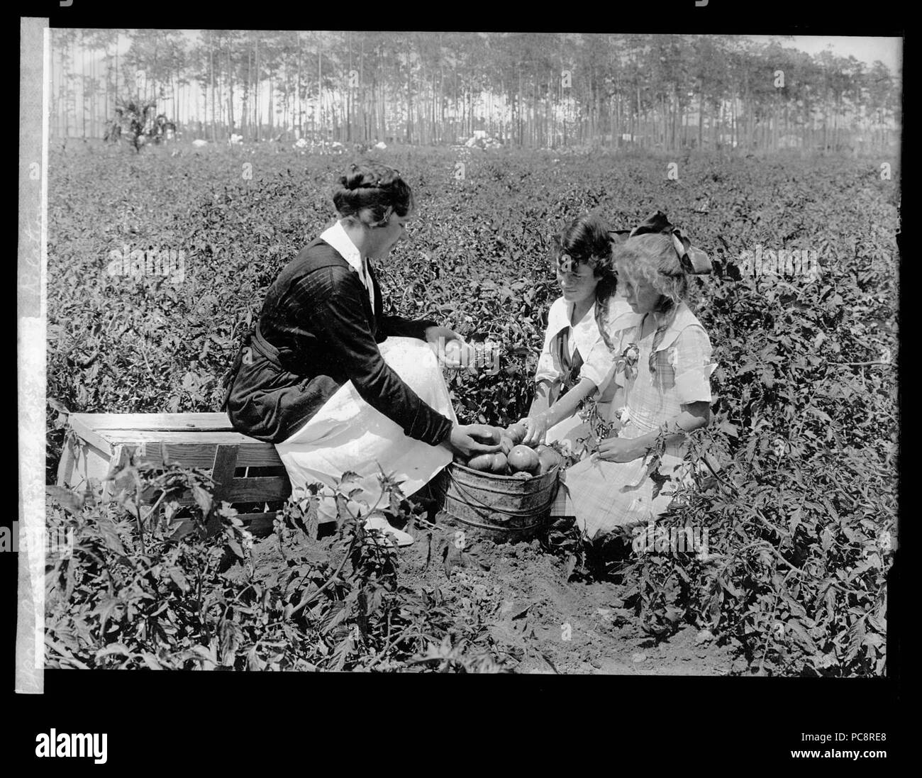 States dept Black and White Stock Photos & Images - Alamy