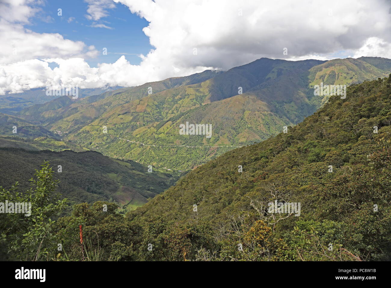 Loja, ecuador hi-res stock photography and images - Alamy