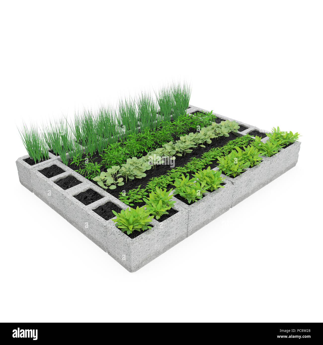 Cinder block garden hi-res stock photography and images - Alamy